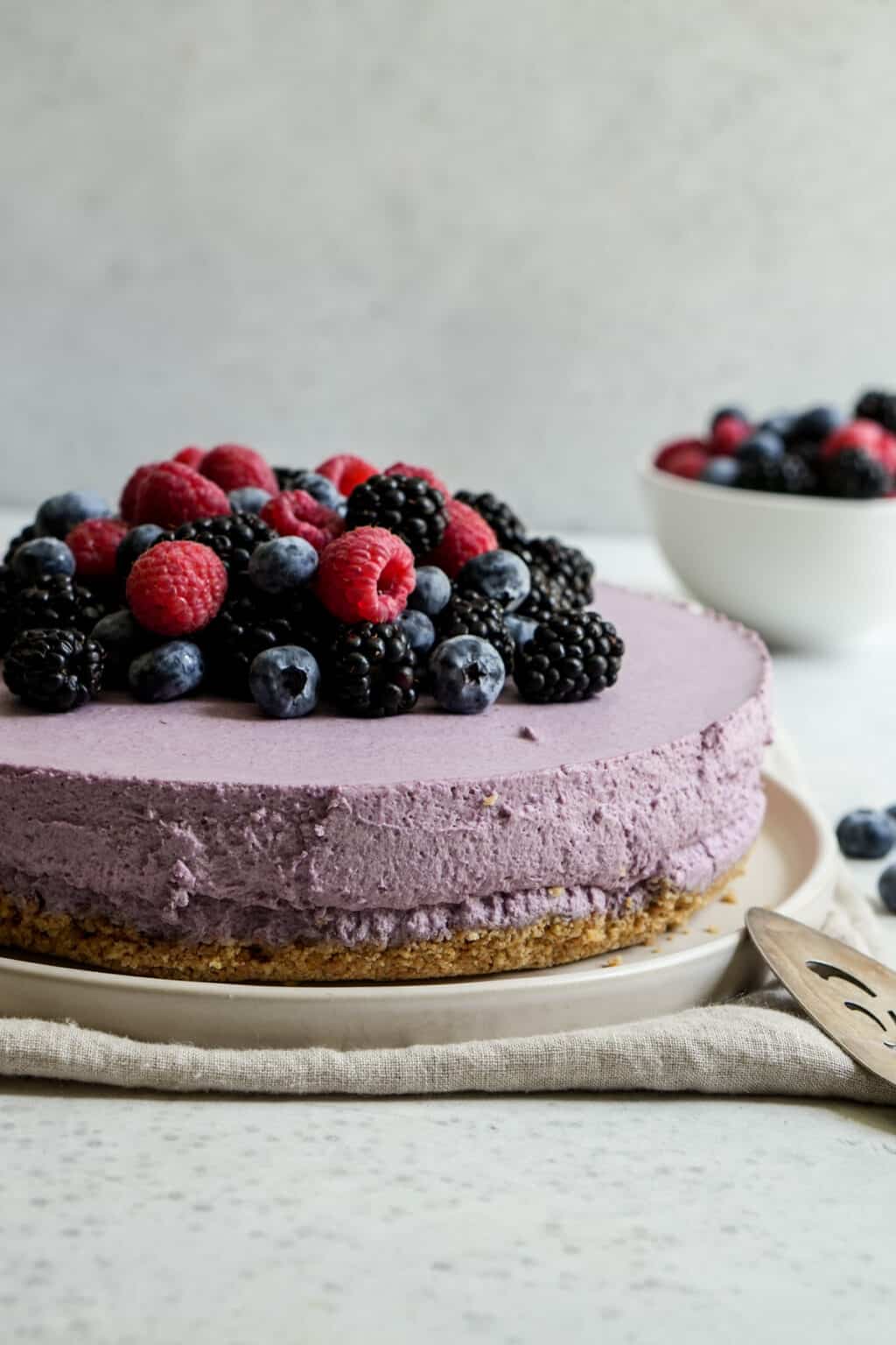 Berry Mousse Cake {Delicious No-Bake Dessert!} - Pina Bresciani