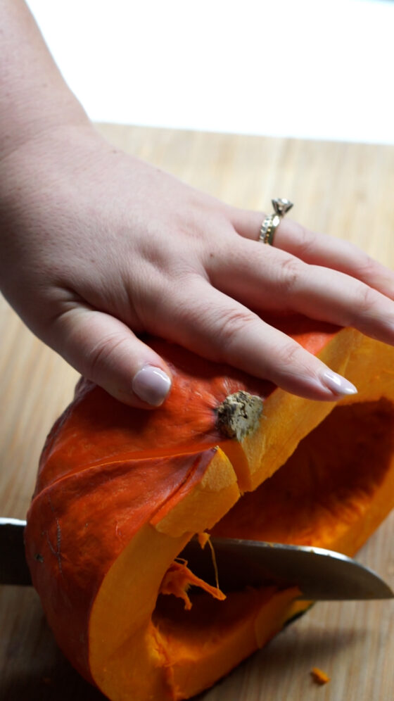 Pumpkin Pasta Sauce {Easy Recipe} - Pina Bresciani